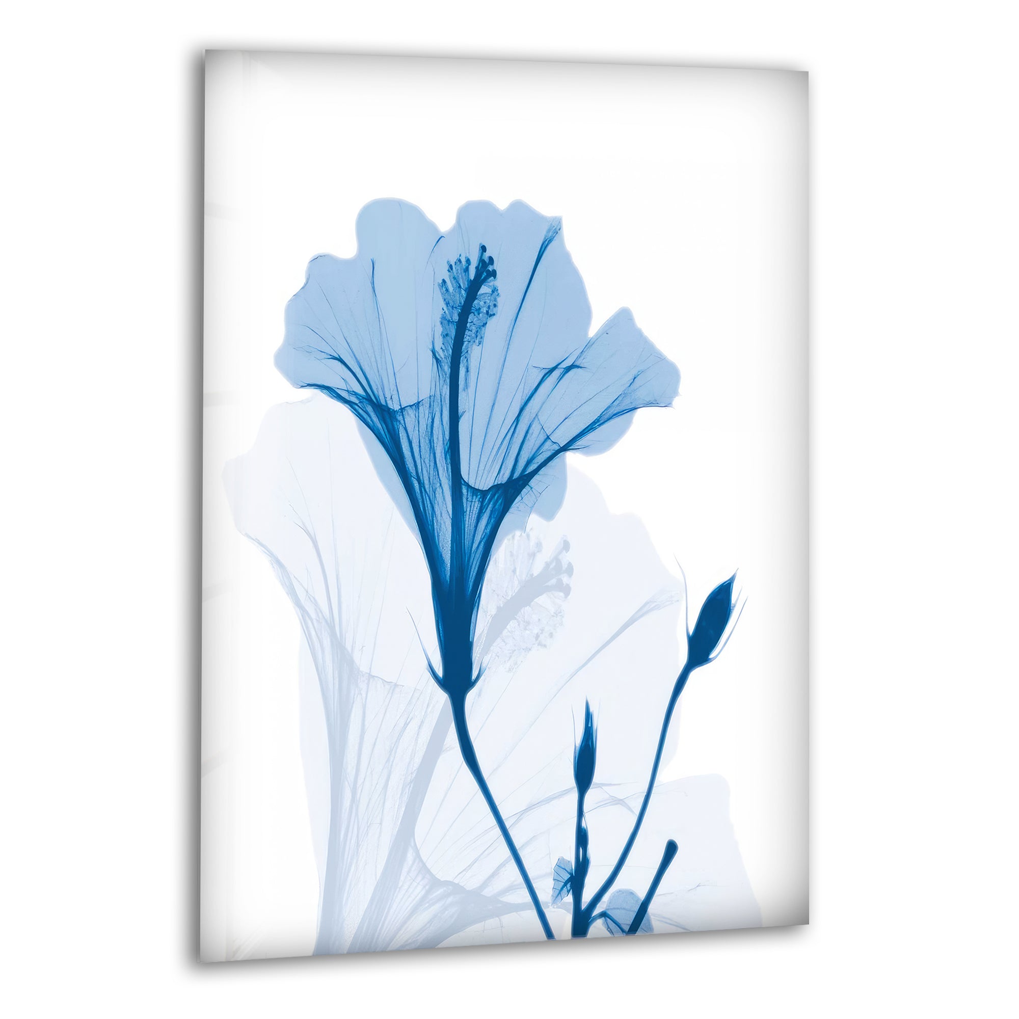 Albert Koetsier Hibiscus Chiller Glass Wall Art | Glass Prints ...