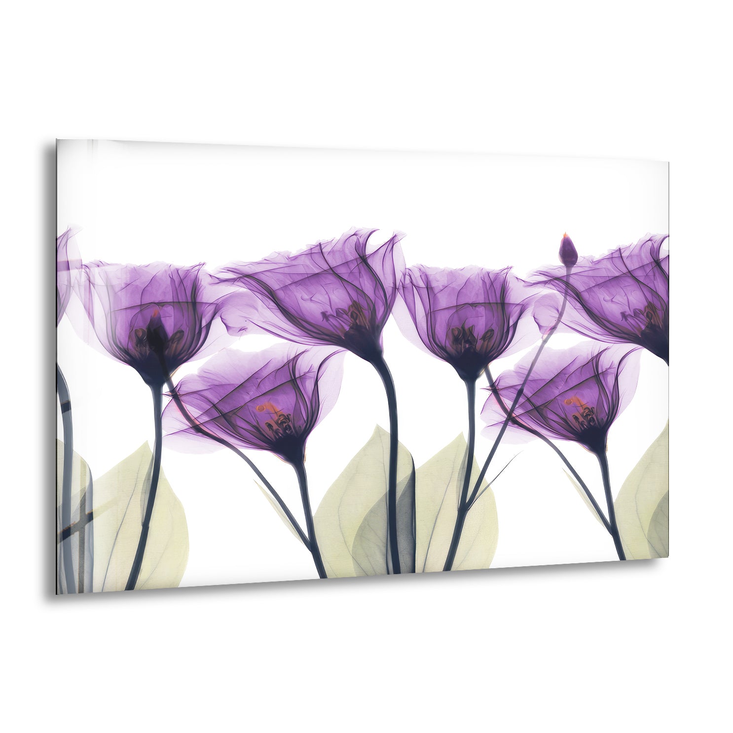 Albert Koetsier Royal Purple Gentian Glass Wall Art