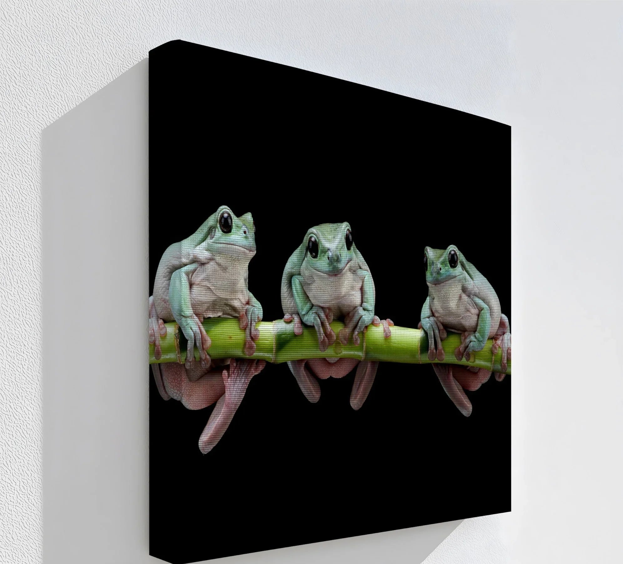 Trio of Tree Frogs on Bamboo – Animal Canvas Print – MyPhotoStation