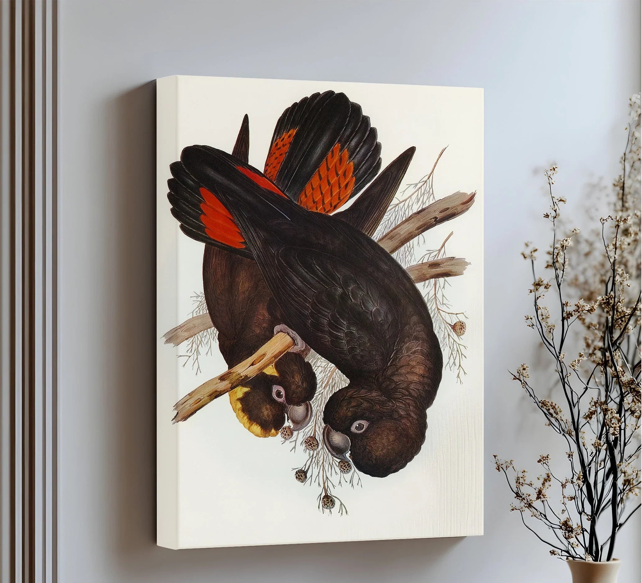Crimson-Winged Black Cockatoos – Vintage Bird Illustration Animal Canv ...