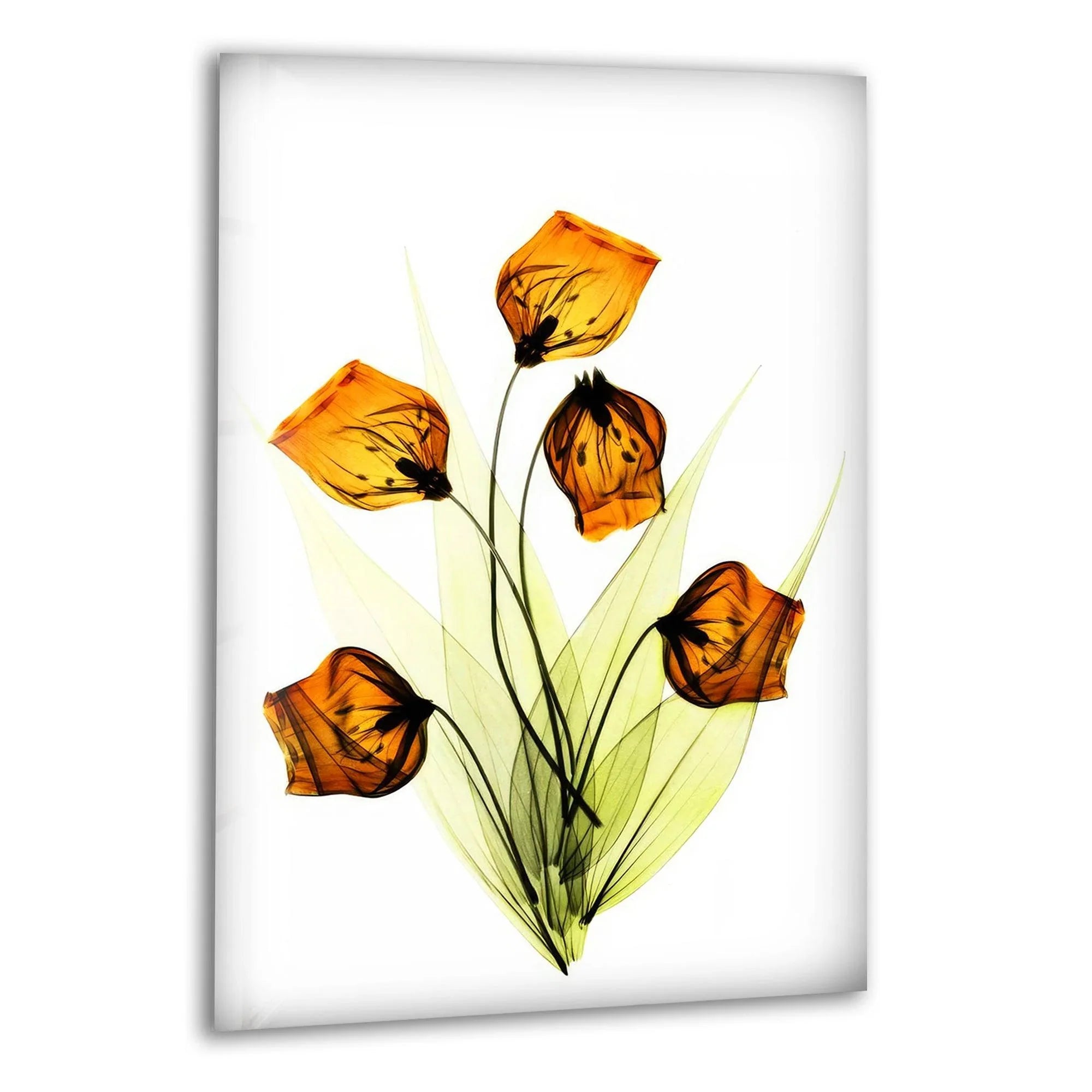 Albert Koetsier Lily of the Valley Glass Wall Art |Glass Prints ...