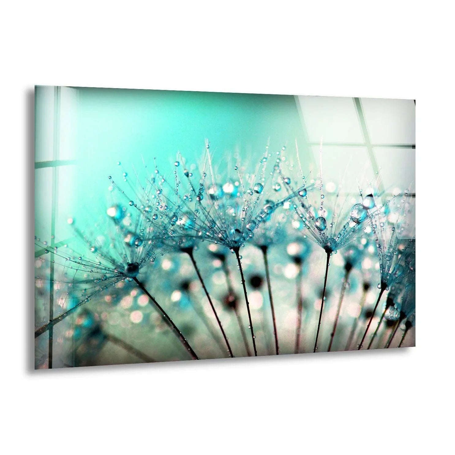 Dandelion Drops Wall Art – Serene Floral Accent – MyPhotoStation