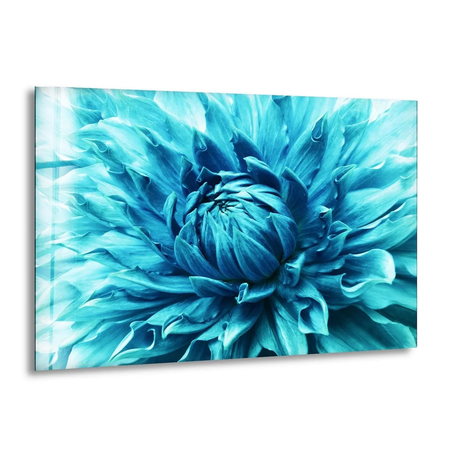 MyPhotoStation: Dahlia Turquoise Flower Glass Wall Art | Glass Prints
