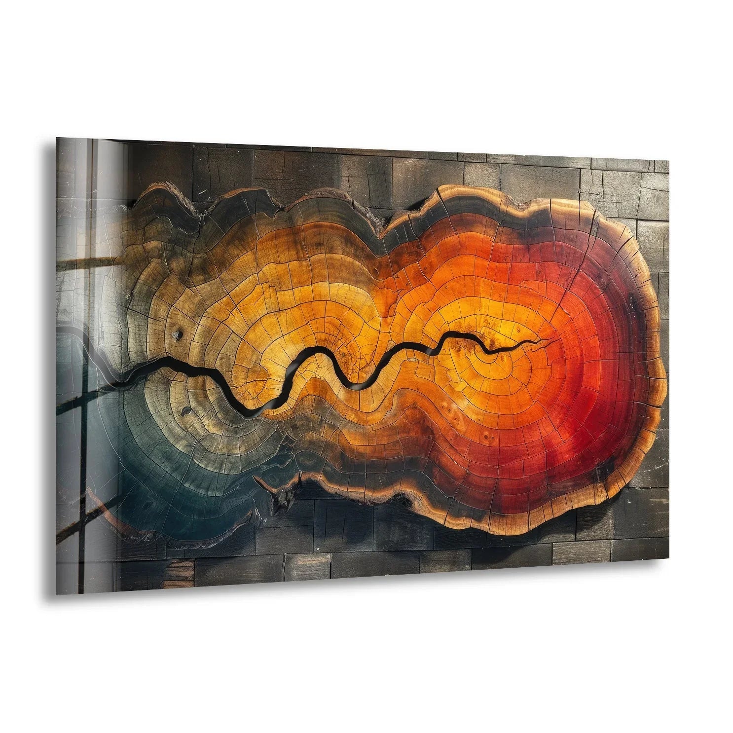 Split Tree Trunk Abstract Wall Art – Nature’s Beauty – MyPhotoStation