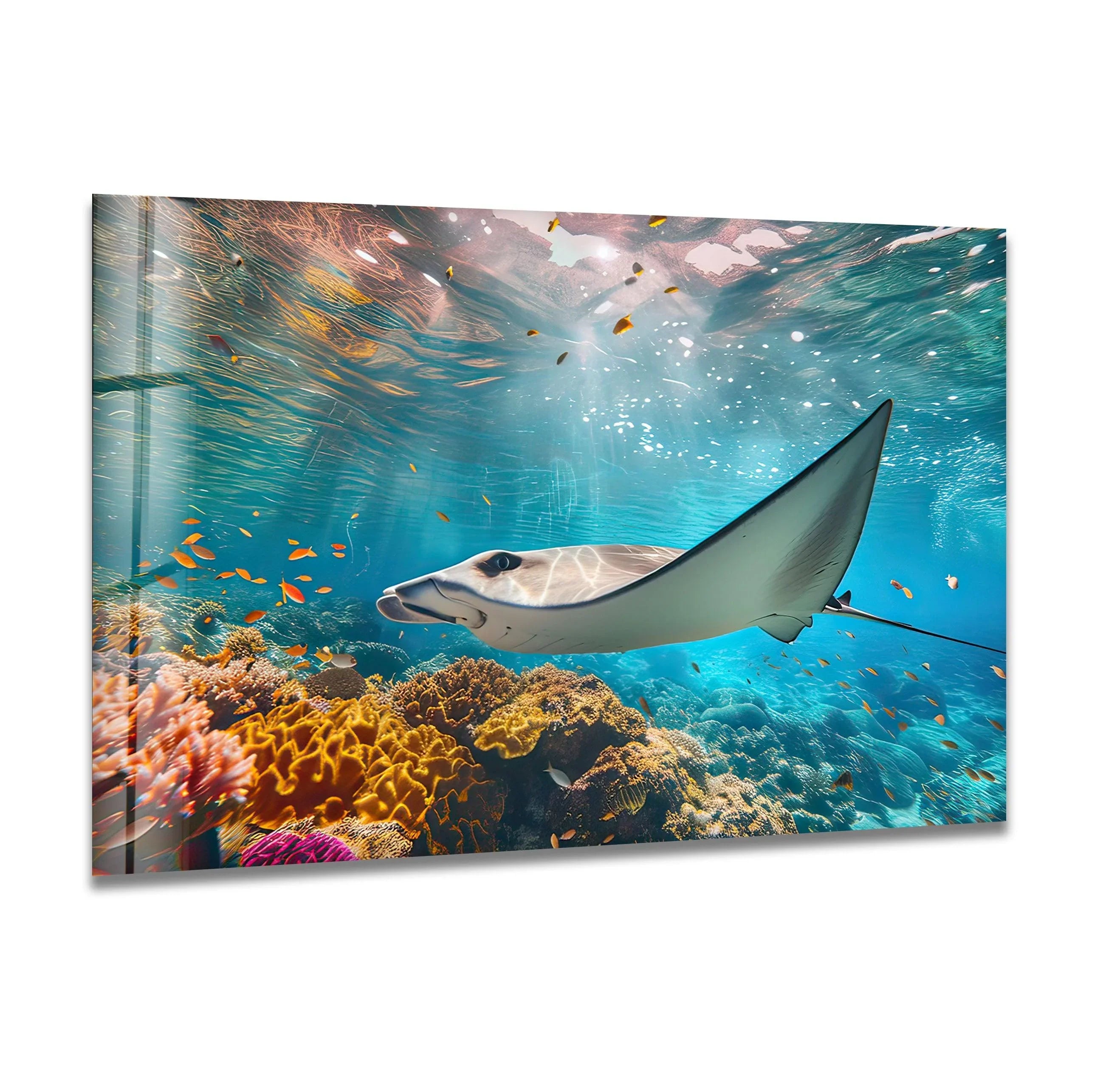 Manta Ray Ocean Glass Wall Art – Vibrant Marine Decor – MyPhotoStation